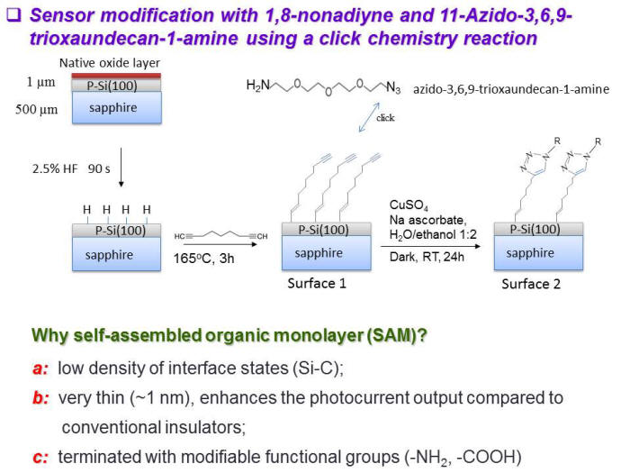 High resolution LAPS and SPIM: QMUL School of Engineering and Materials Science